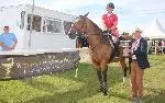 Competitions - Limerick Show